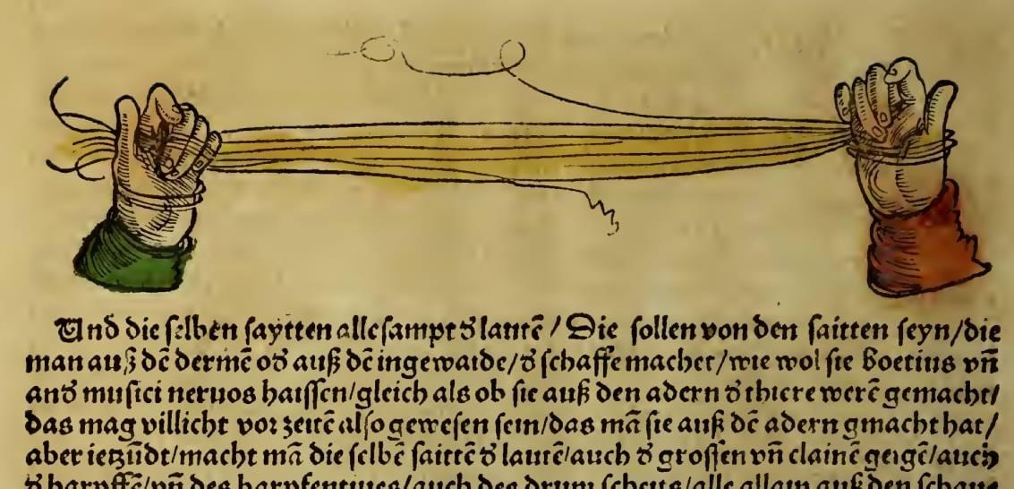 Mersenne’s test – Daniela Gaidano